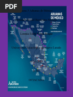 Tipos de Aduanas en México | PDF | aduana | México
