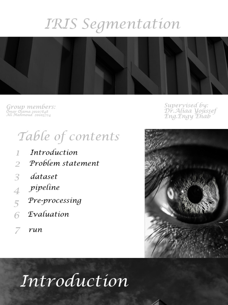 Iris Segmentation for Eye Health Analysis | PDF | Image Segmentation ...