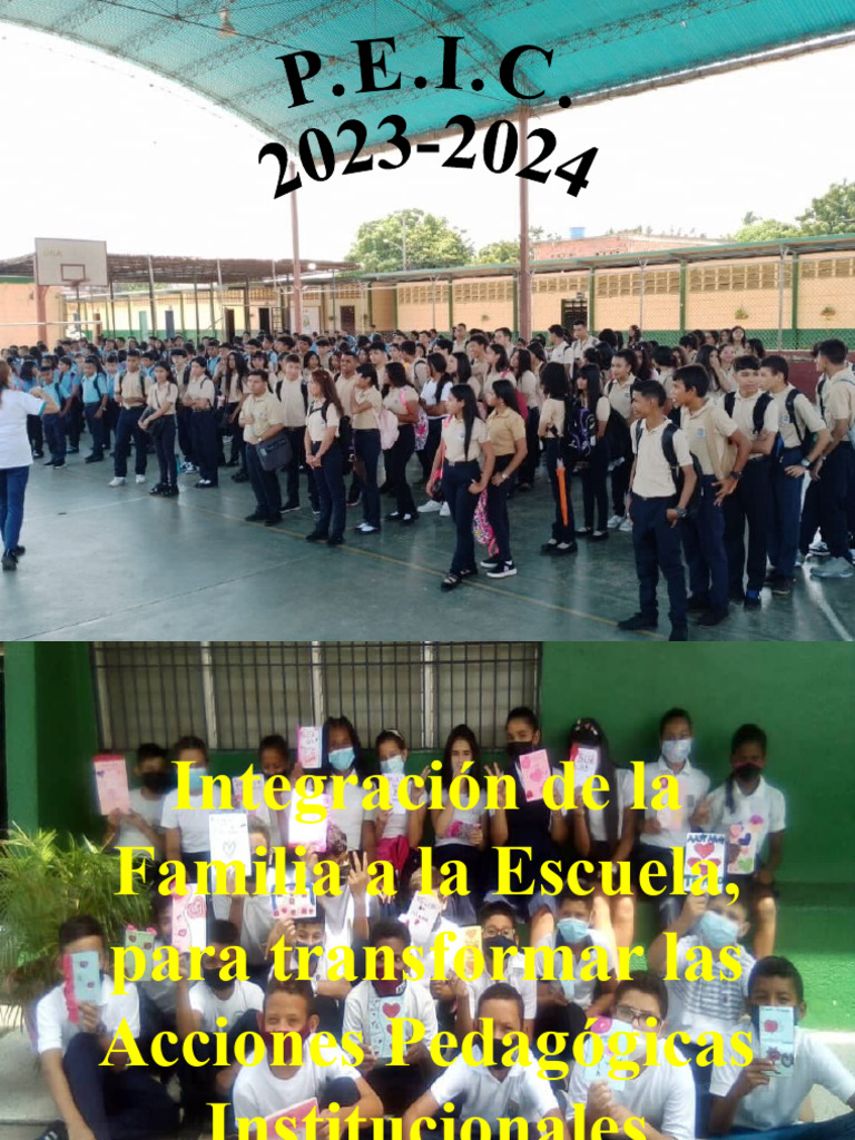 PEIC 20024 para Imprimir | PDF | Salud y bienestar