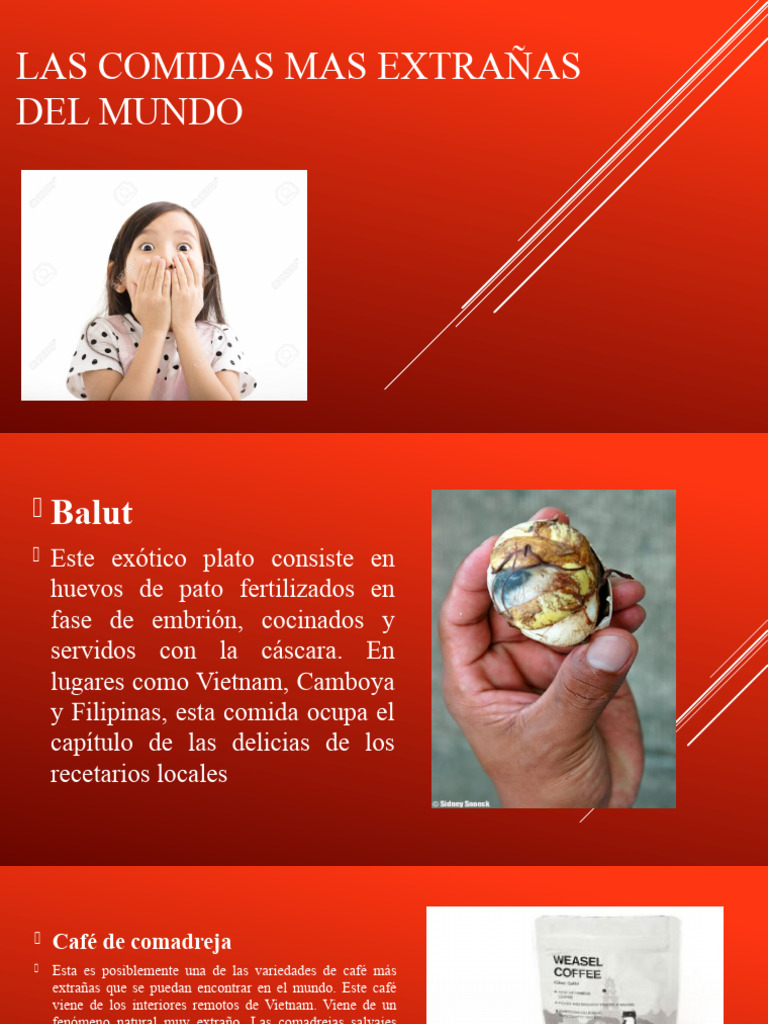 Las Comidas Mas Extrañas Del Mundo | PDF | café | Cocinando