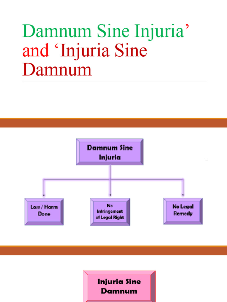 Damnum Sine Injuria' and Injuria Sine | Download Free PDF | Damages | Tort