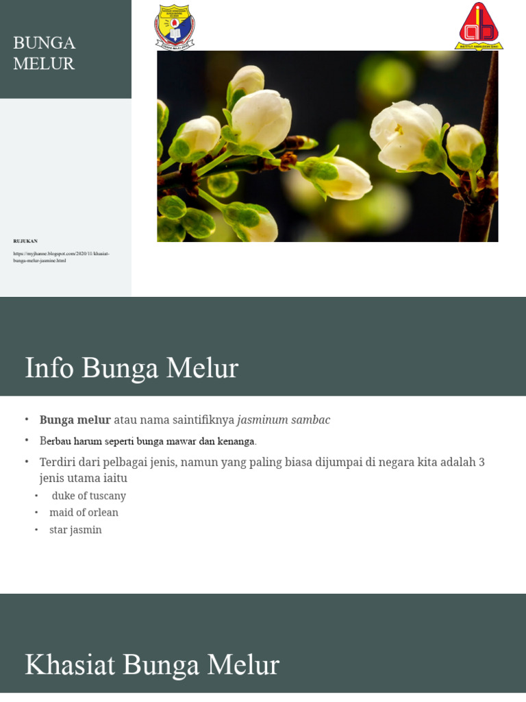 Bunga Melur | PDF