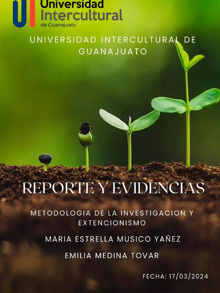 Reporte de Evidencia_Maria Estrella Musico Yañez_Vinculacion ...