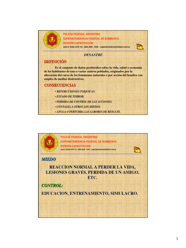 Panico | PDF | Policía | Temor
