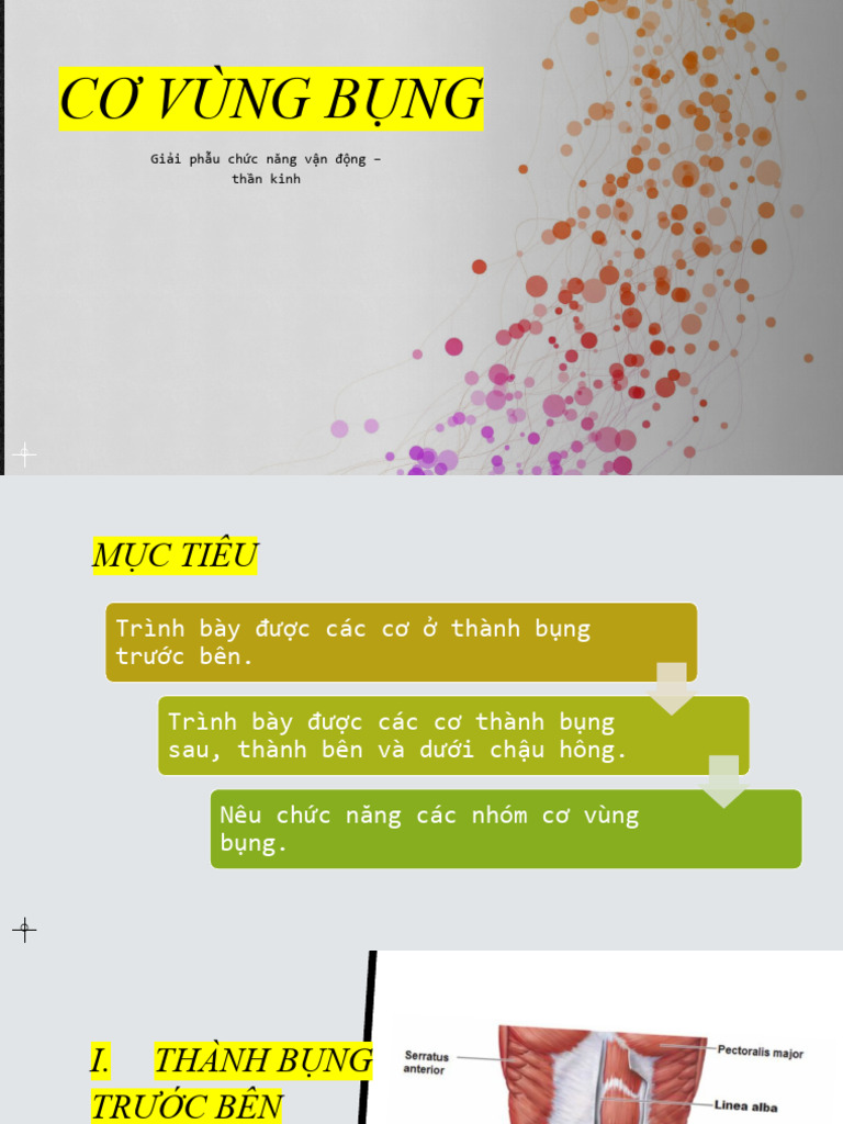 Cơ Vùng B NG | PDF