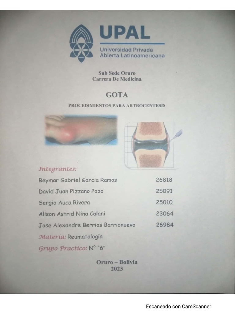 Gota | PDF