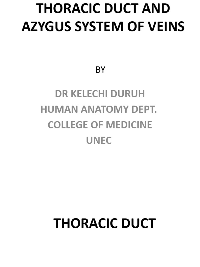 Thoracic Duct and Azygos System of Veins Lecture | PDF | Vein | Aorta