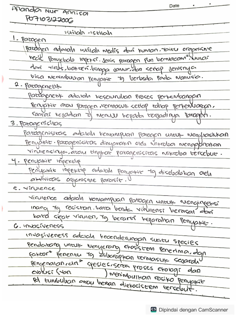 Ananda Nur Annisa | PDF