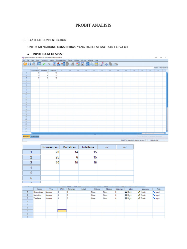 Pembuatan Probit Analisis | PDF