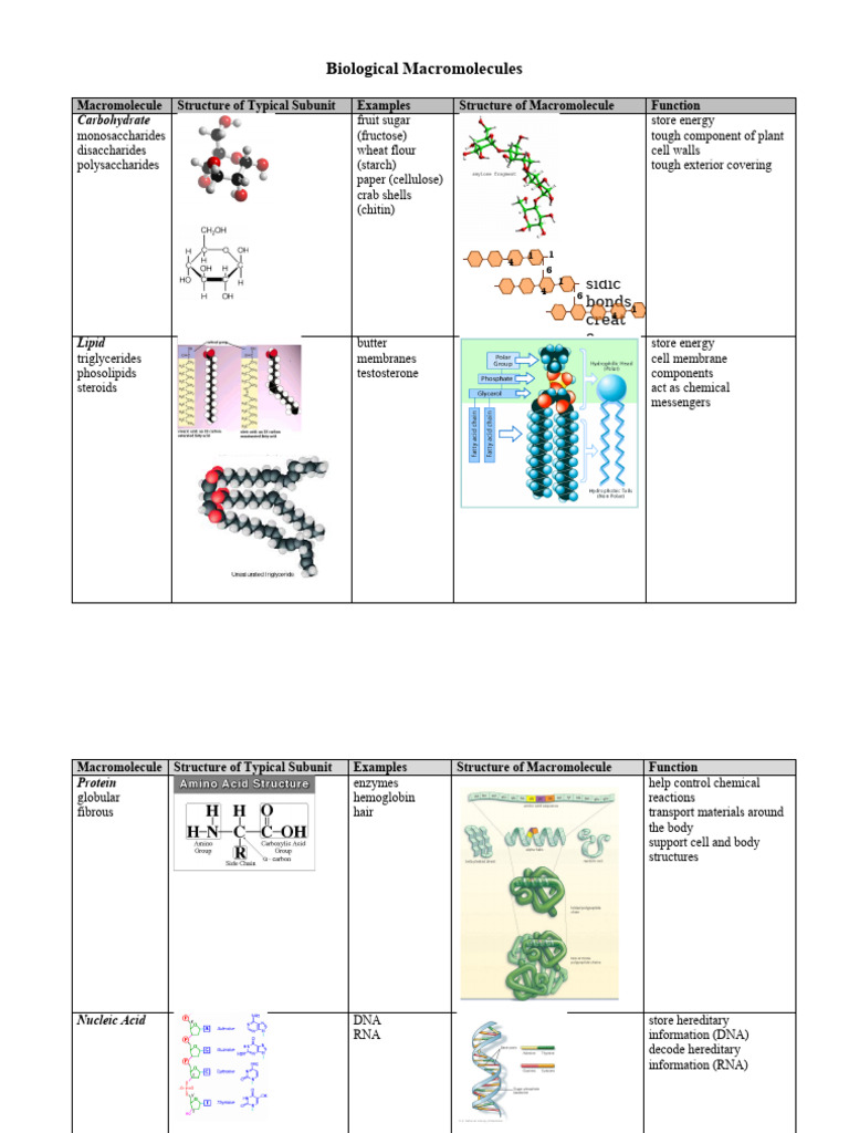 Biological Macromolecules: Macromolecule Structure of Typical Subunit Examples Structure of ...