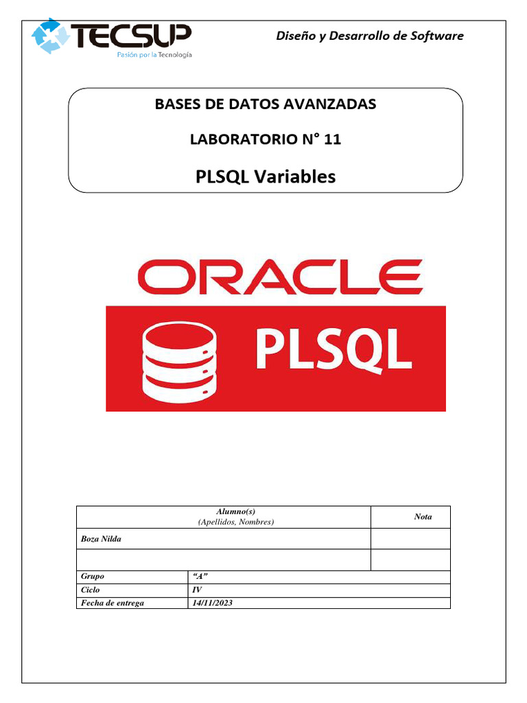 Lab11-BDAV - PLSQL Variables-Nilda Boza | PDF | Pl / Sql | Bases de datos