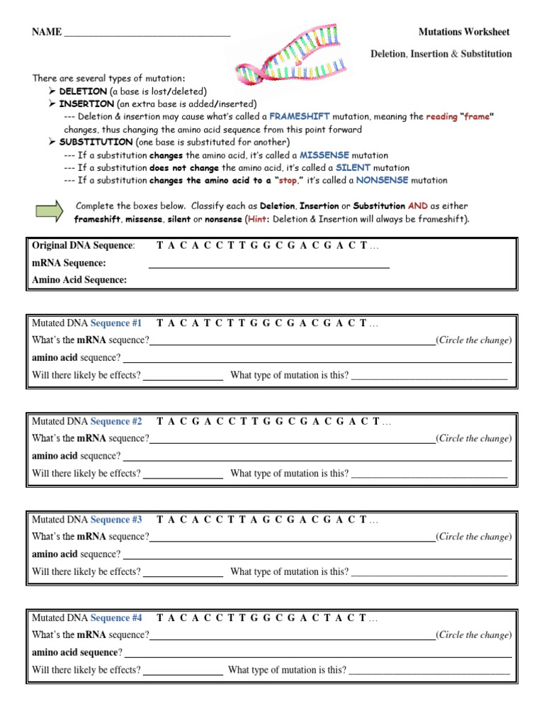 Bio Worksheet Mutations | PDF | Point Mutation | Mutation