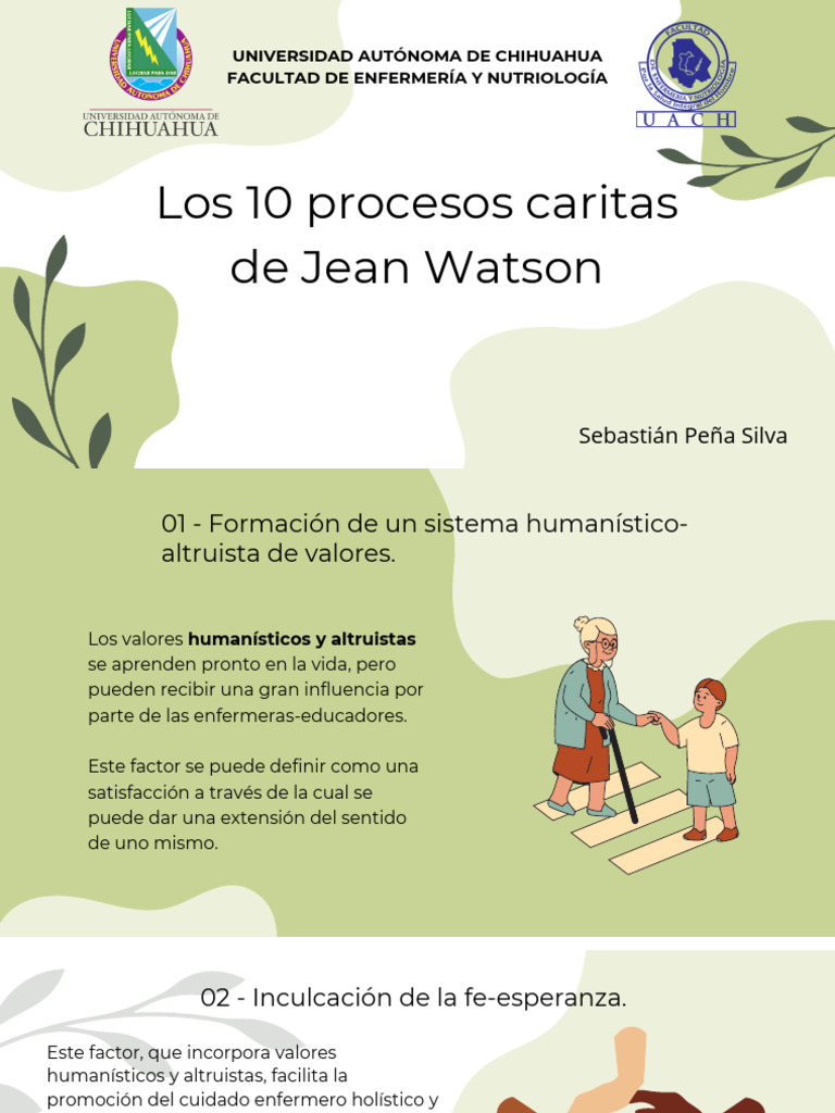 Los 10 procesos caritas de Jean Watson | PDF | Enfermería | Conceptos ...