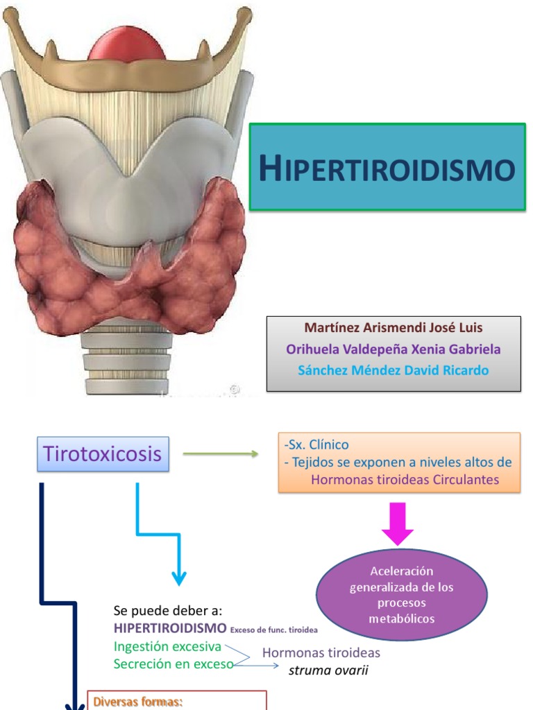 Hipertiroidismo | PDF | Hipertiroidismo | Hormona estimulante de la ...