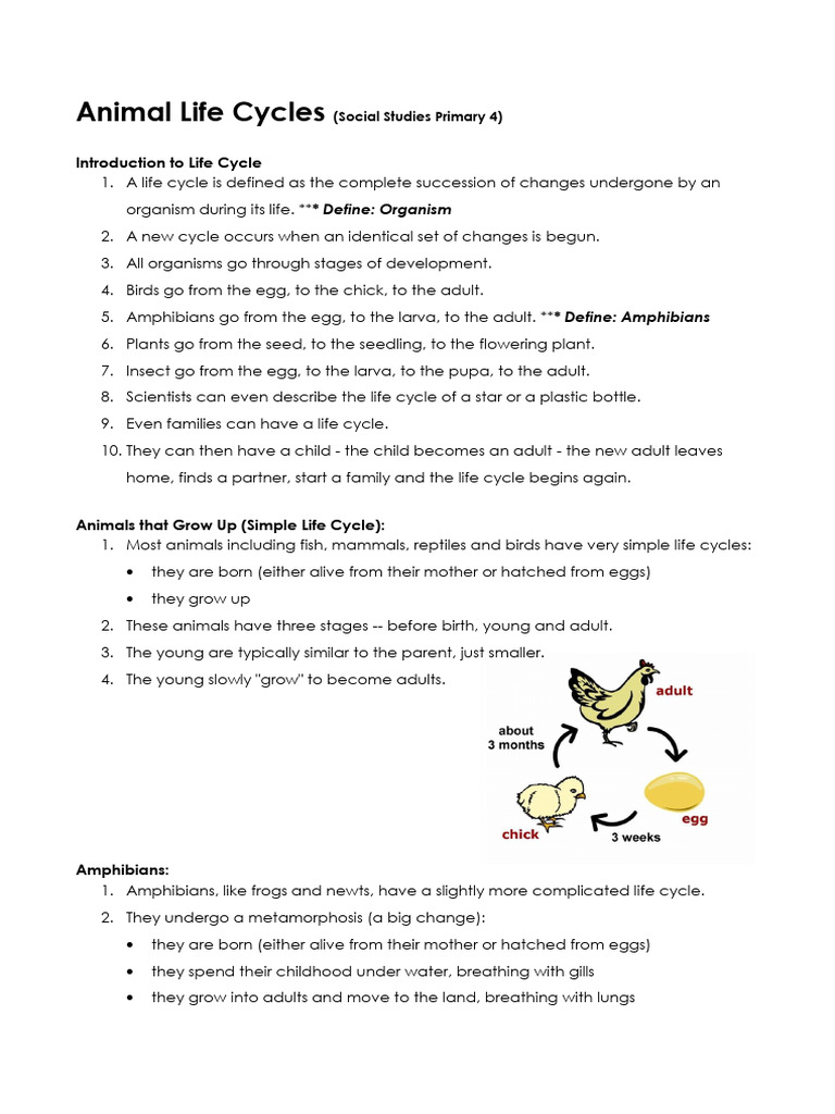 Animal Life Cycles | Download Free PDF | Frog | Amphibian