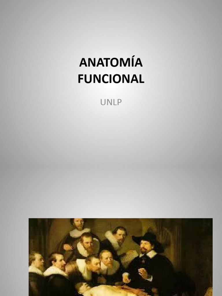 Introducción a la anatomía funcional | PDF | Hueso | Músculo