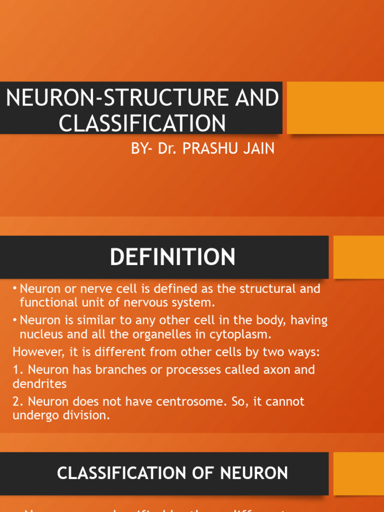Neuron-Structure and Classification | PDF | Axon | Neuron