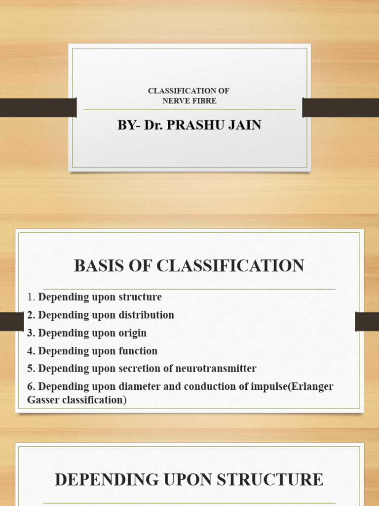 Classification of Nerve Fibre | PDF