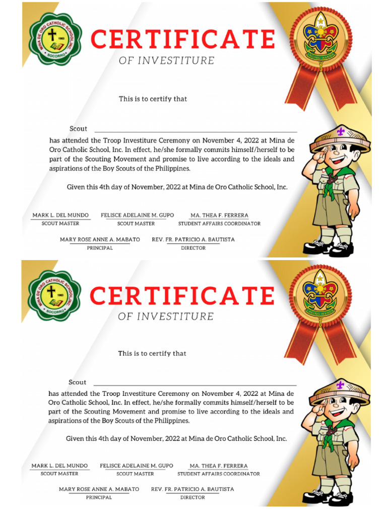 Certificate Scout 2022 | PDF