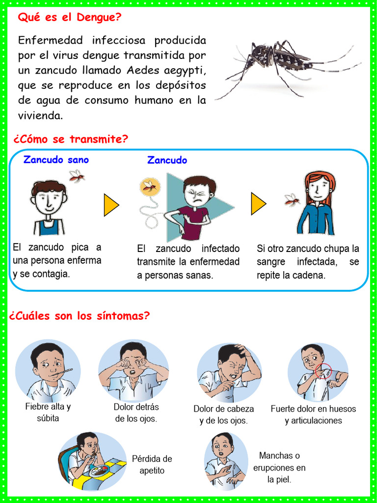 Anexo 1- Ficha informativa | PDF