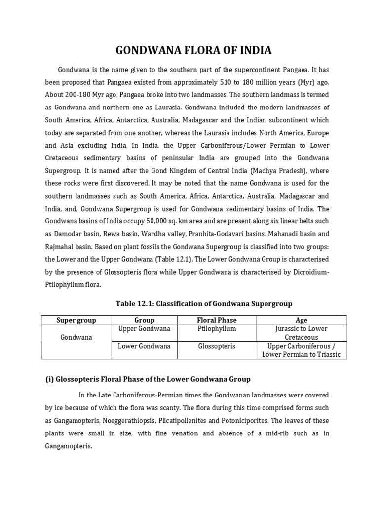 Gondwana Flora | PDF | Earth Sciences