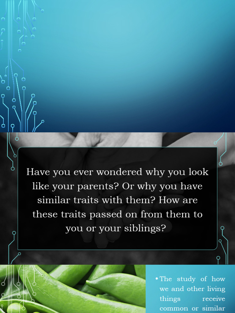 Protein Synthesis and Mutations | PDF | Translation (Biology) | Rna