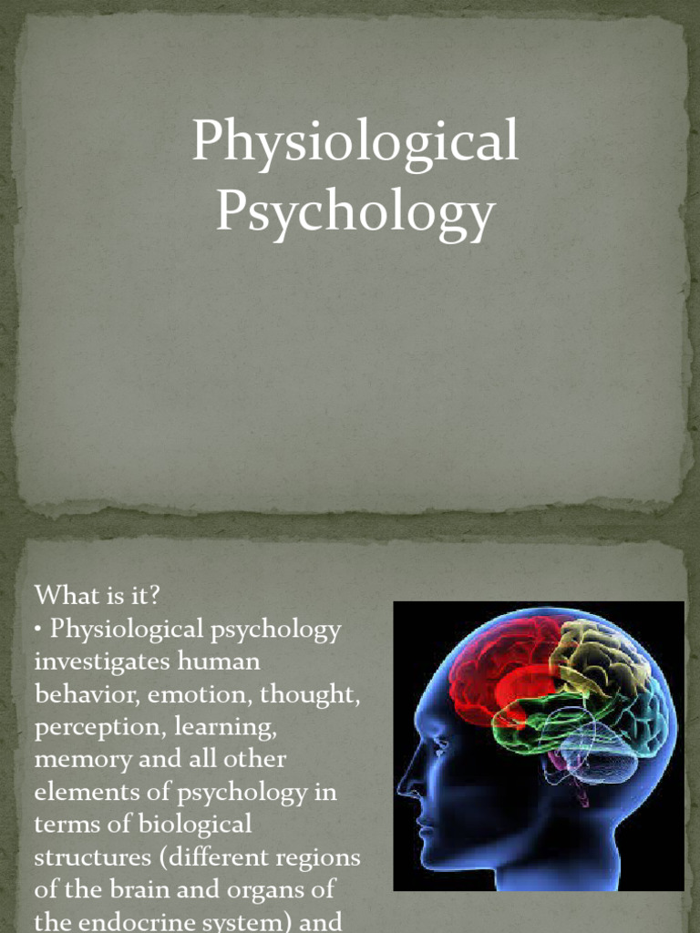 PPT for Phy Psy | PDF | Brain | Functional Magnetic Resonance Imaging