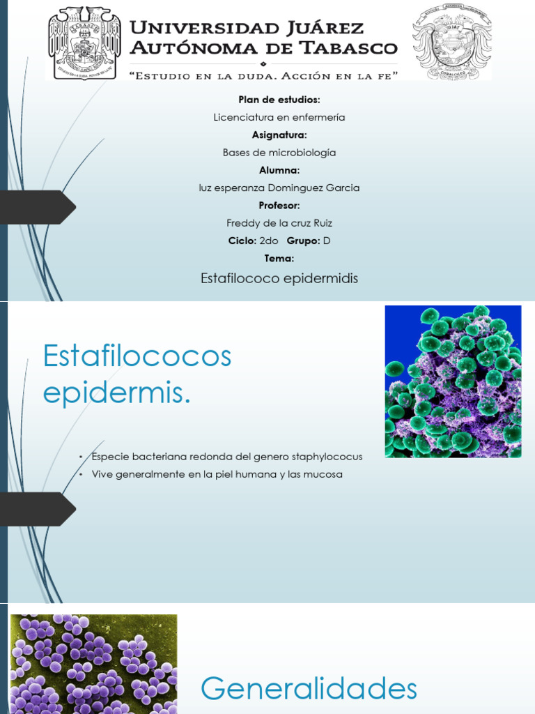 Estafilococos Epidermis | PDF | Staphylococcus Aureus | Especialidades ...