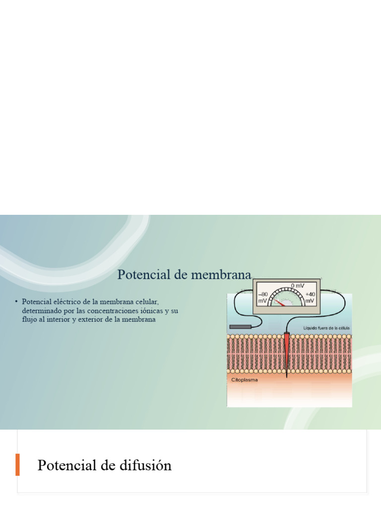 Potencial de Membrana | PDF | Sinapsis | Potencial de membrana