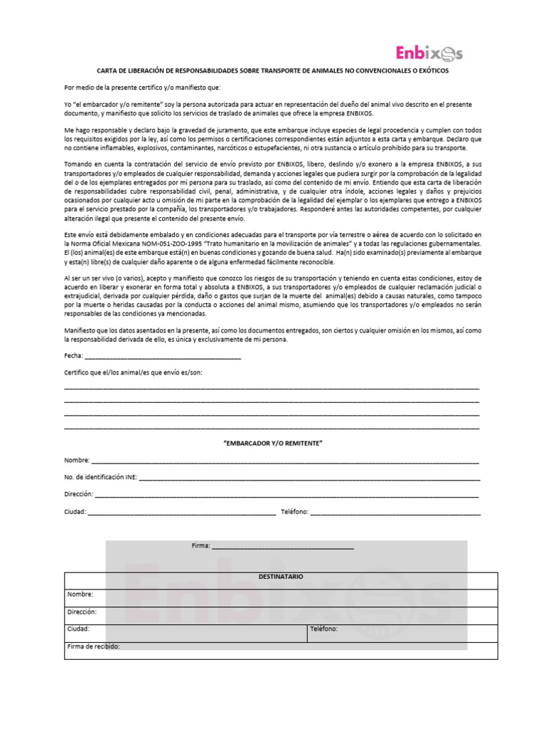 Formato de Envio | PDF