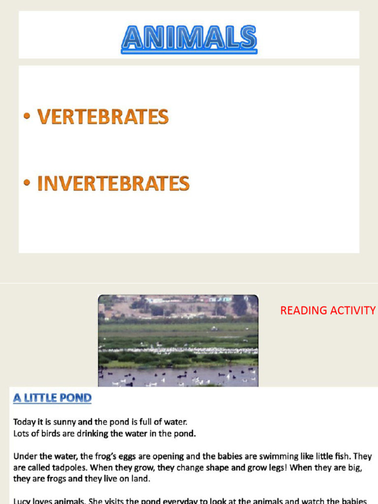 Vertebrate Classification Overview | PDF | Amphibian | Invertebrate