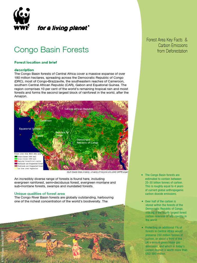 Congo Basin Forests Overview | PDF | Forests | Deforestation