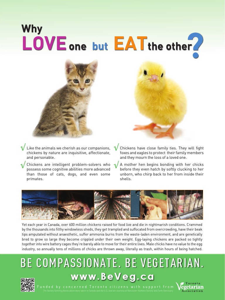 Chicken Ad | PDF