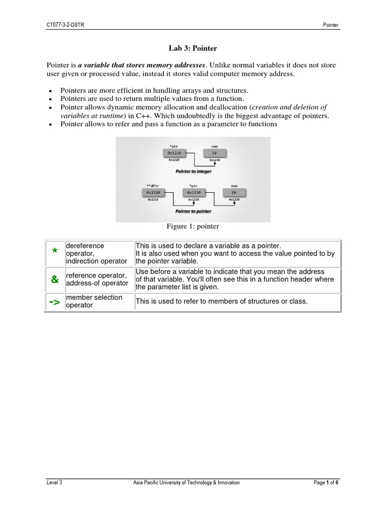 Lab 3 Pointer Pdf Pointer Computer Programming Computer Data