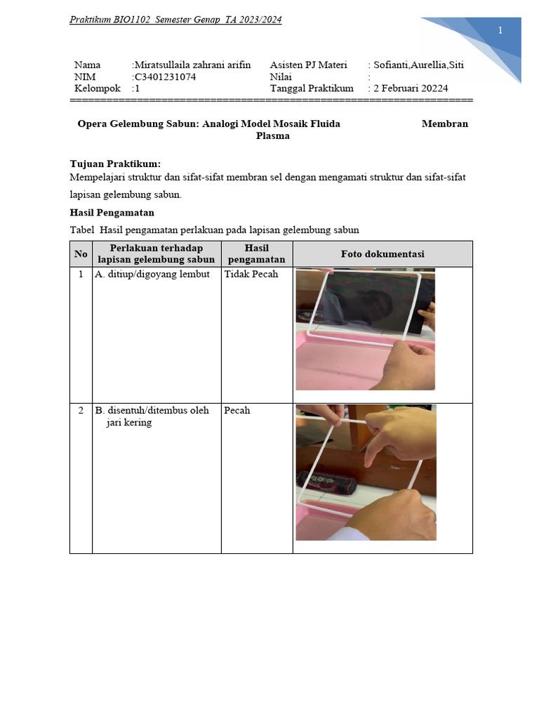 BIO1102 2024 Genap 02B Opera Gelembung Sabun | PDF
