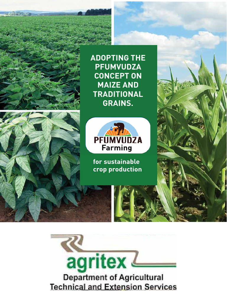 Pfumvudza Farming Guide for Zimbabwe | PDF | Agriculture | Crop Rotation
