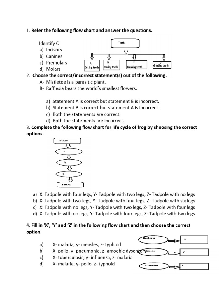 Grade-4 NASSO Olympiad Question Paper | PDF | Planets | Saturn