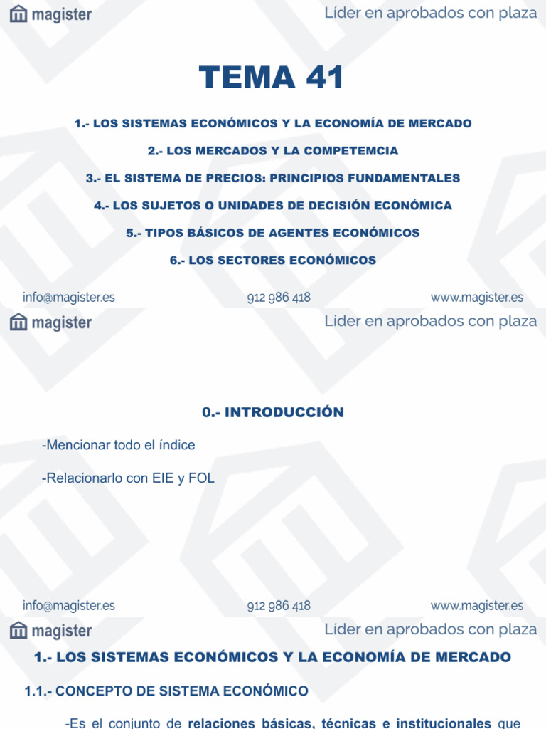 Tema 41 Magister PDF | Descargar gratis PDF | Monopolio | Mercado (economía)