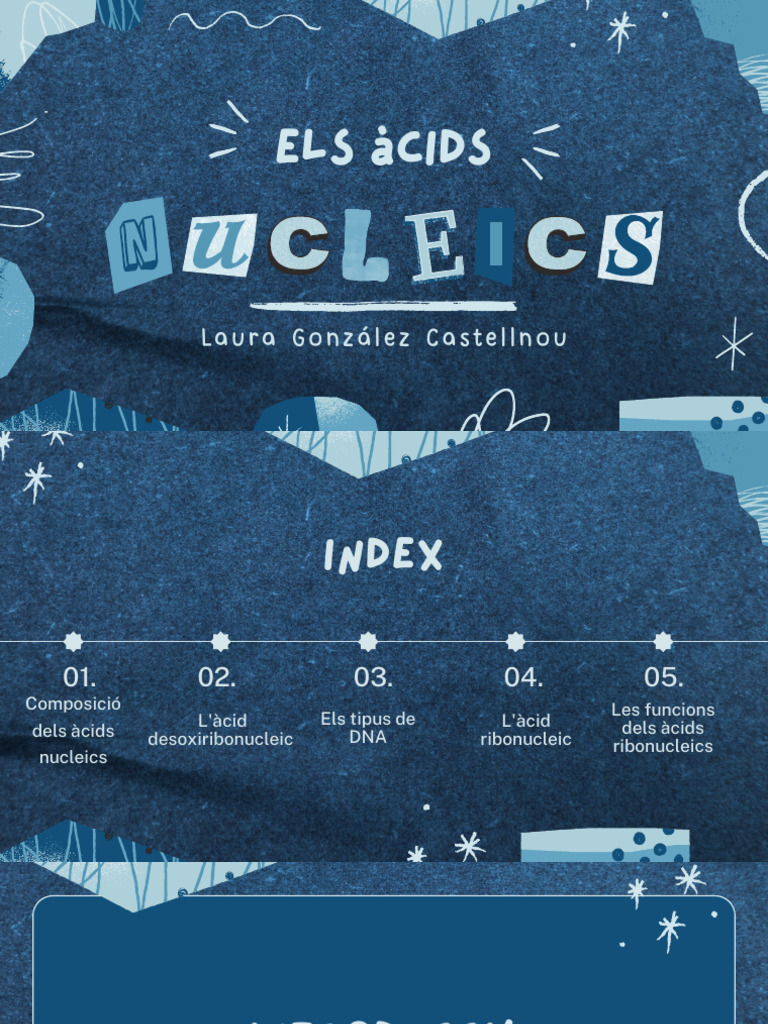 Els Àcids Nucleics | PDF