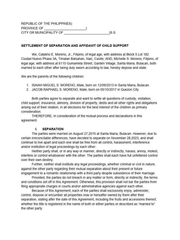 Settlement of Separation and Affidavit of Child Support | Download Free ...