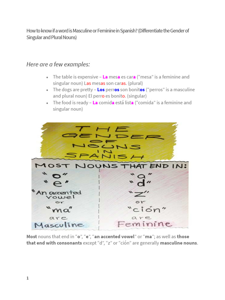 Gender of Nouns in Spanish | PDF | Plural | Grammatical Gender