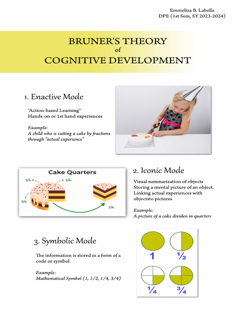 Bruner's Theory of Cognitive Development | PDF