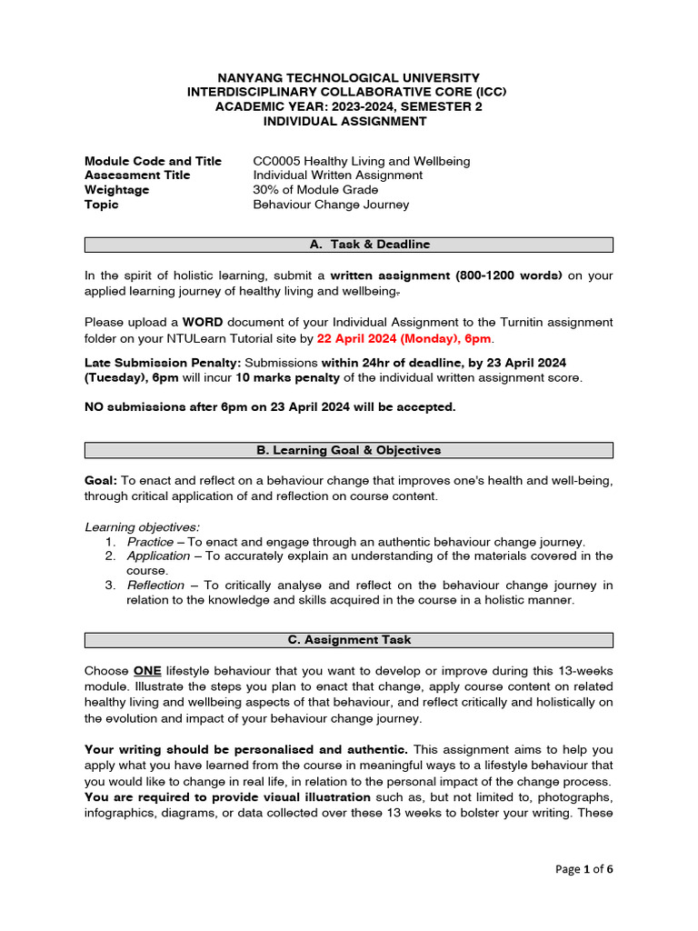 CC0005 Individual Assignment Students Handout - AY23-24 Sem 2 | PDF | Academic Dishonesty ...