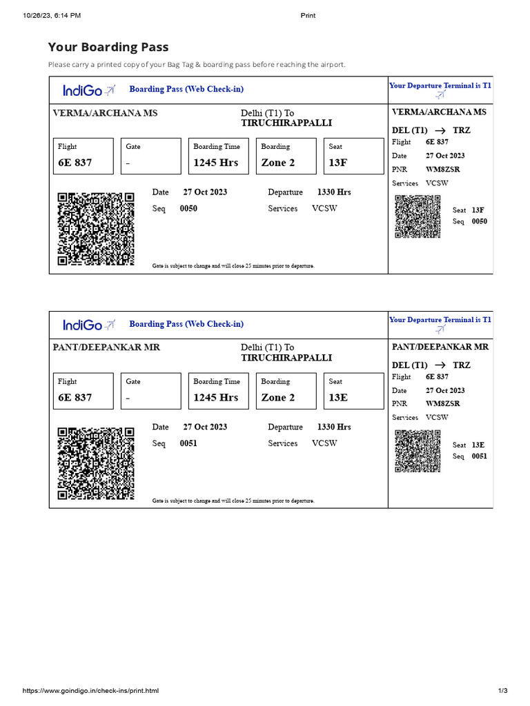 Boarding Pass | PDF | Baggage | Aviation