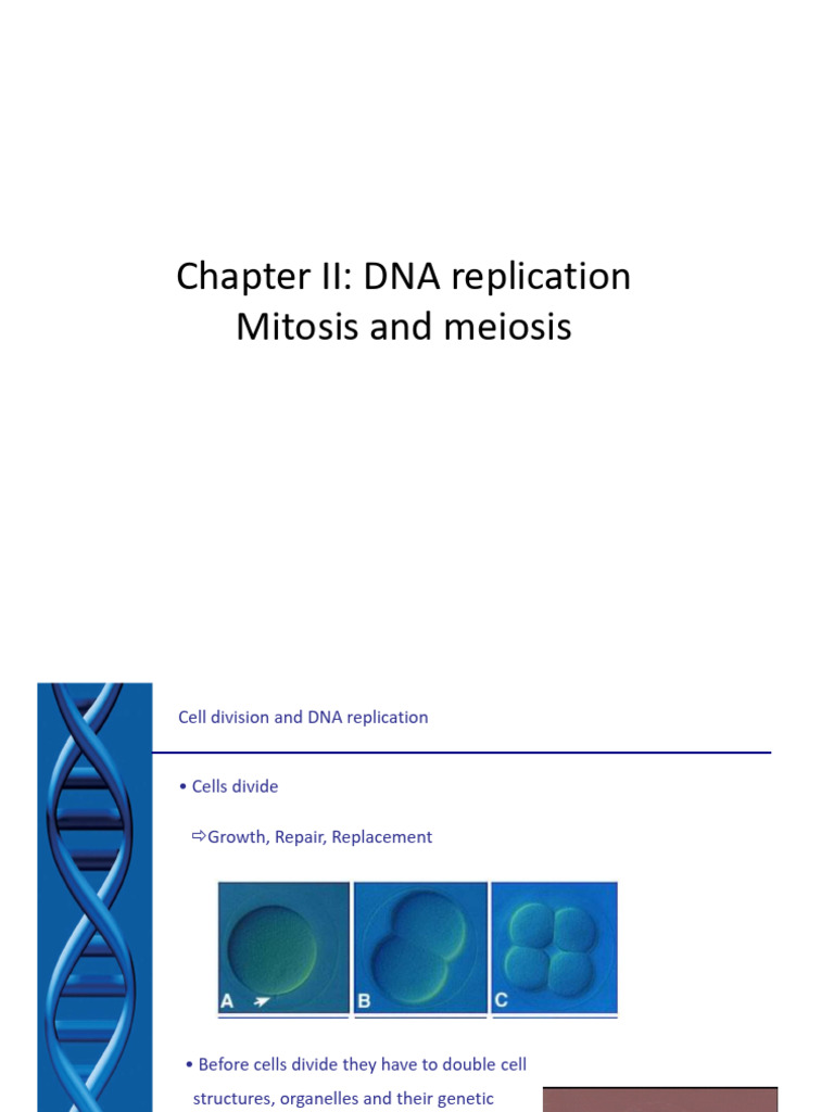 Genetic Dna Replication Mitososis Meiosisi | PDF | Mitosis | Meiosis