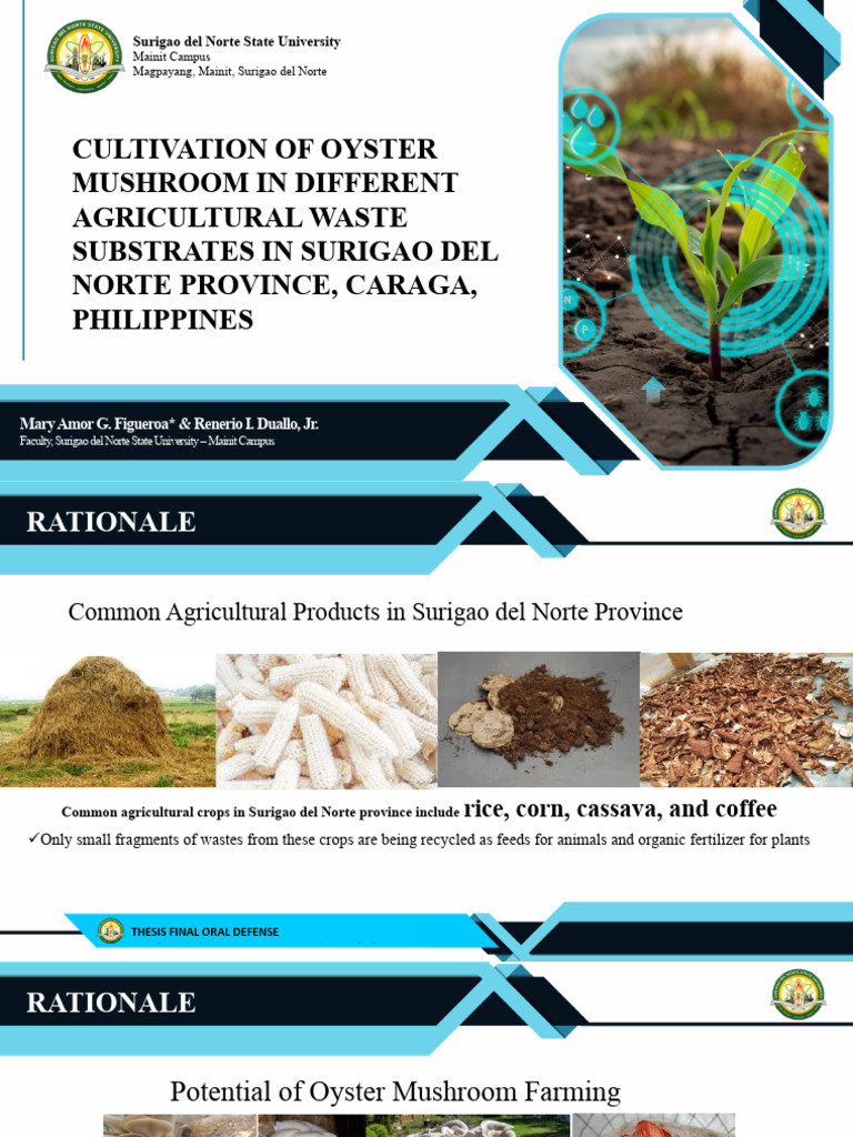 Thesis Defense Ppt Template Pdf Agriculture Mushroom