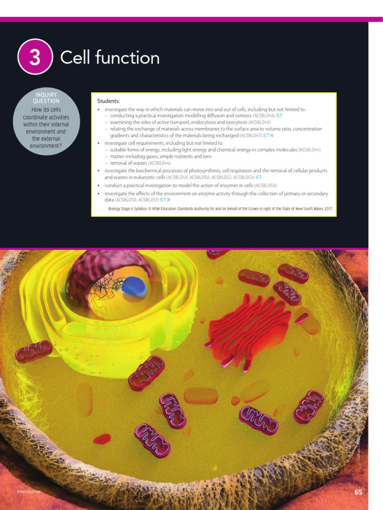 Binsw11 Chapter 3 Cell Function | PDF | Osmosis | Cell Membrane
