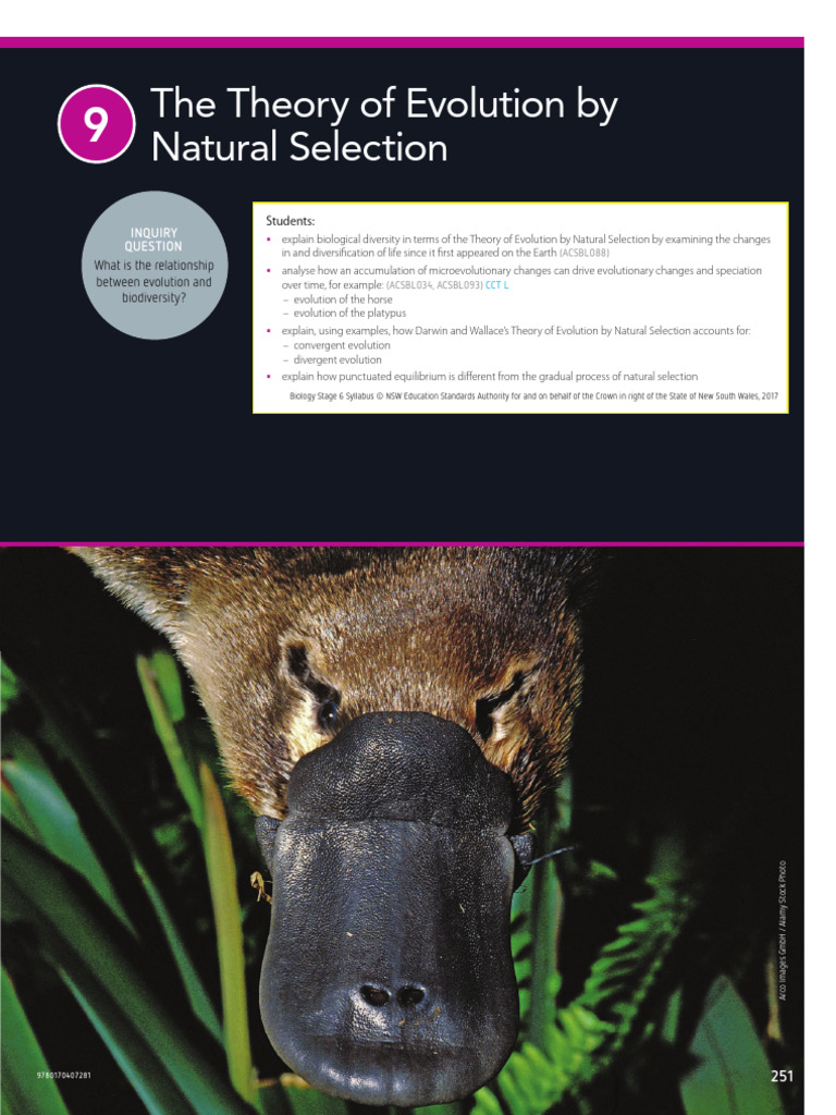 Binsw11 Chapter 9 The Theory of Evolution by Natural Selection | Download Free PDF | Cell ...