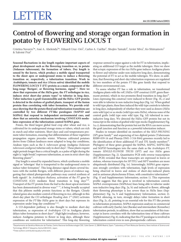 Control of Flowering and Storage Organ Formation On Potato by FLOWERING ...