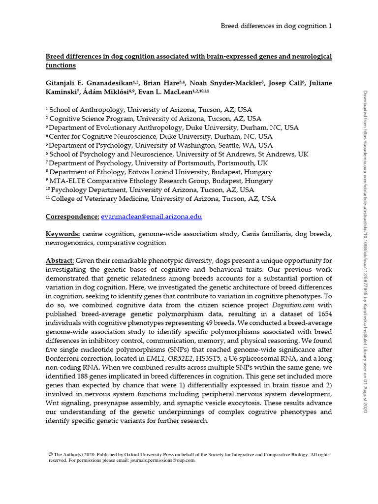 Breed Differences in Dog Cognition Associated With Brain-Expressed ...